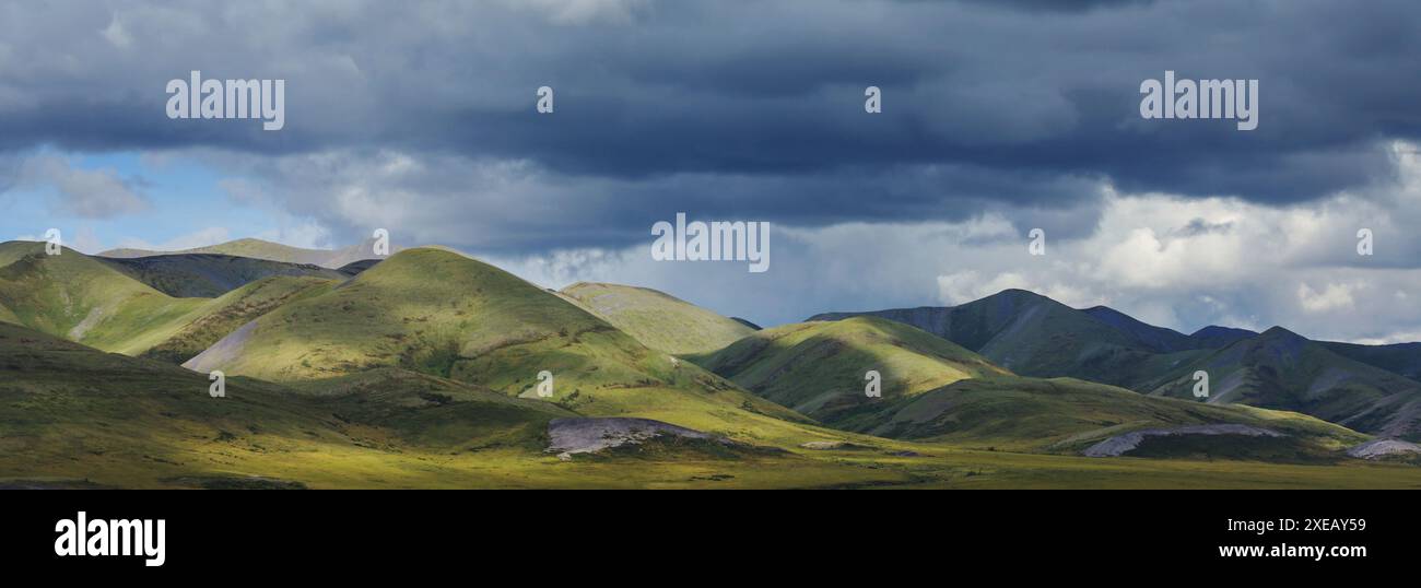 Treeless arctic tundra landscape in hi-res stock photography and images ...