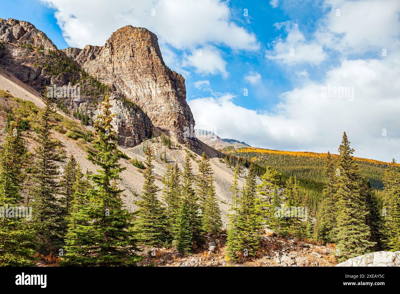 The valley of the Ten Peaks Stock Photo - Alamy