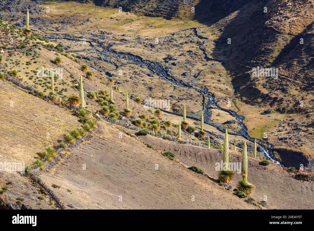 Fantastic landscape in the Peruvian Andes, South America, Peru Stock ...