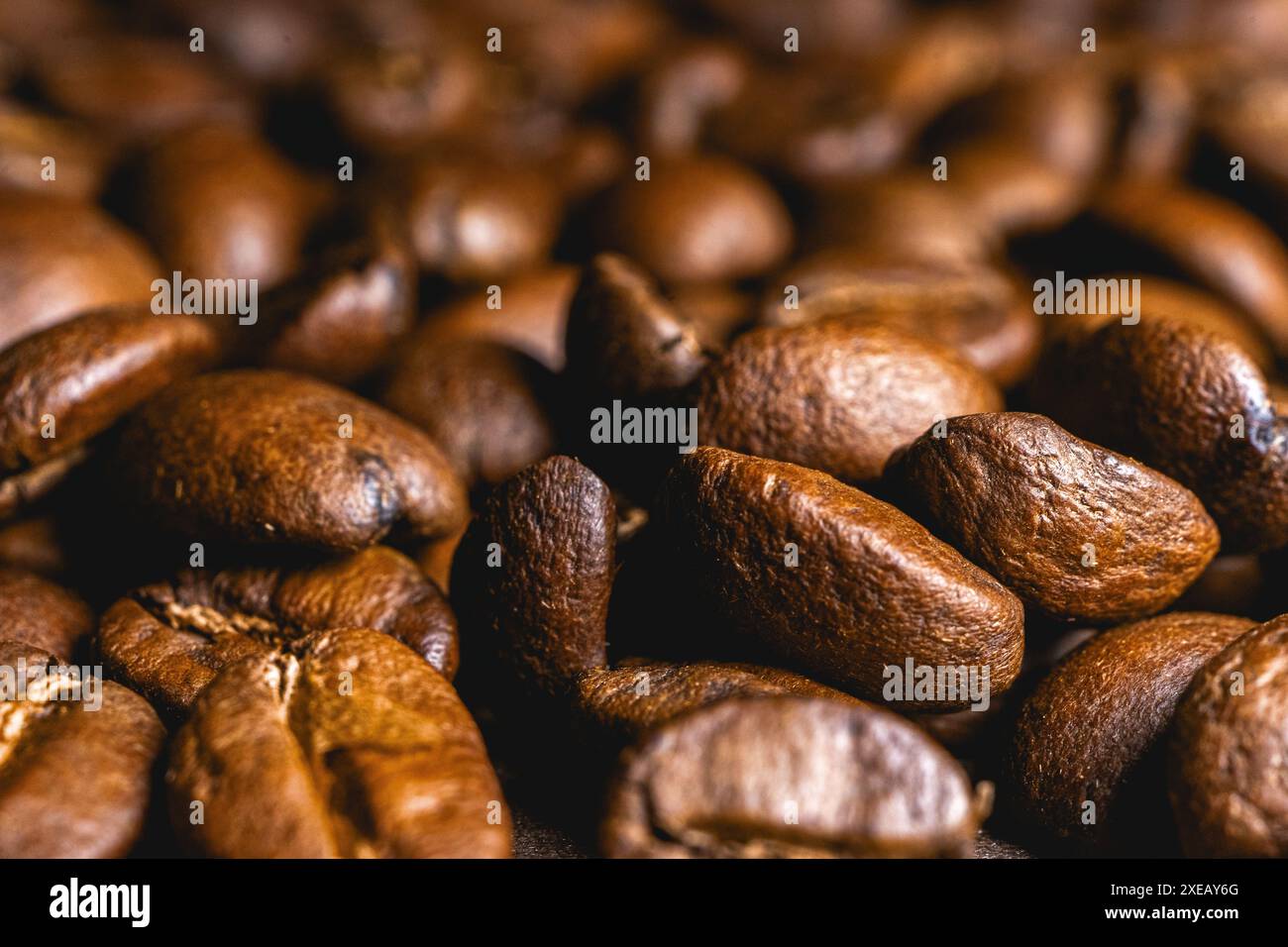 Close up from a bunch of coffee beans laying down. Backdrop for coffee ...