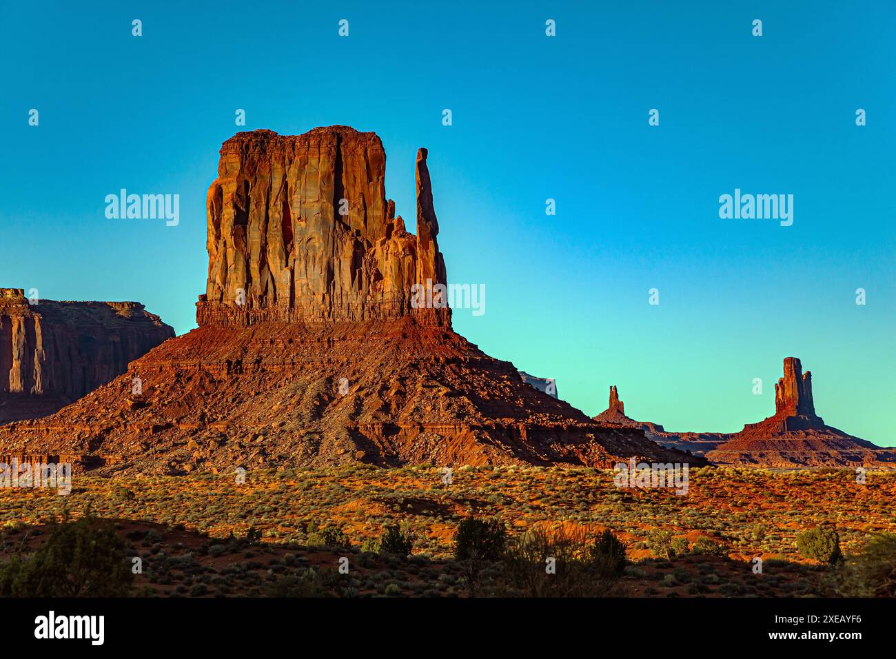 Arizona symbols hi-res stock photography and images - Alamy
