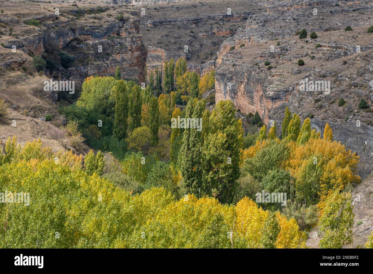 Nature good life hi-res stock photography and images - Alamy
