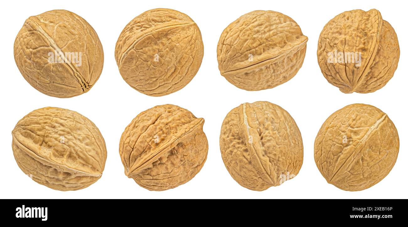 Whole walnuts isolated on white background, collection Stock Photo - Alamy
