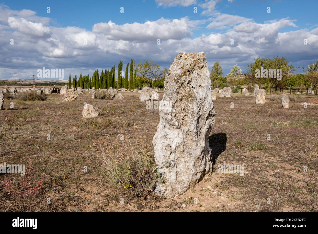 Southern necropolis cemetery hi-res stock photography and images - Alamy