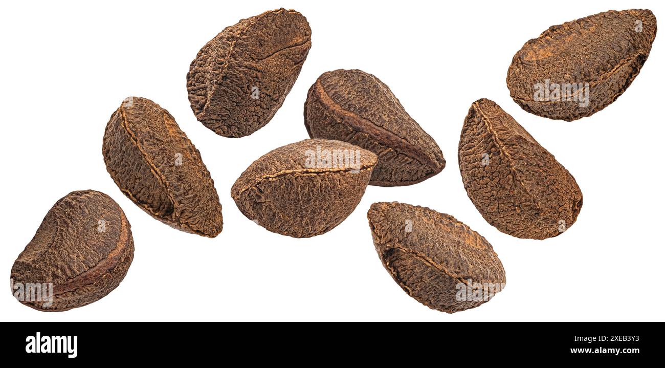 Brazil nuts in shell isolated on white background Stock Photo - Alamy