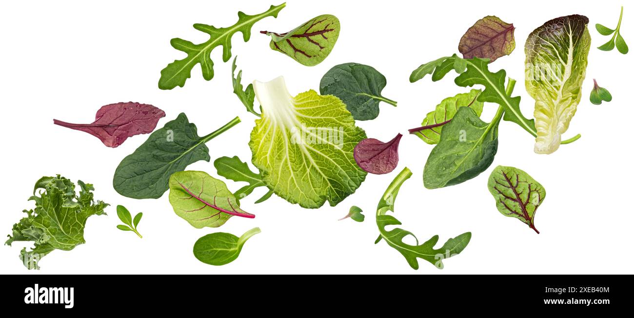 Salad leaves mix isolated on white background Stock Photo - Alamy