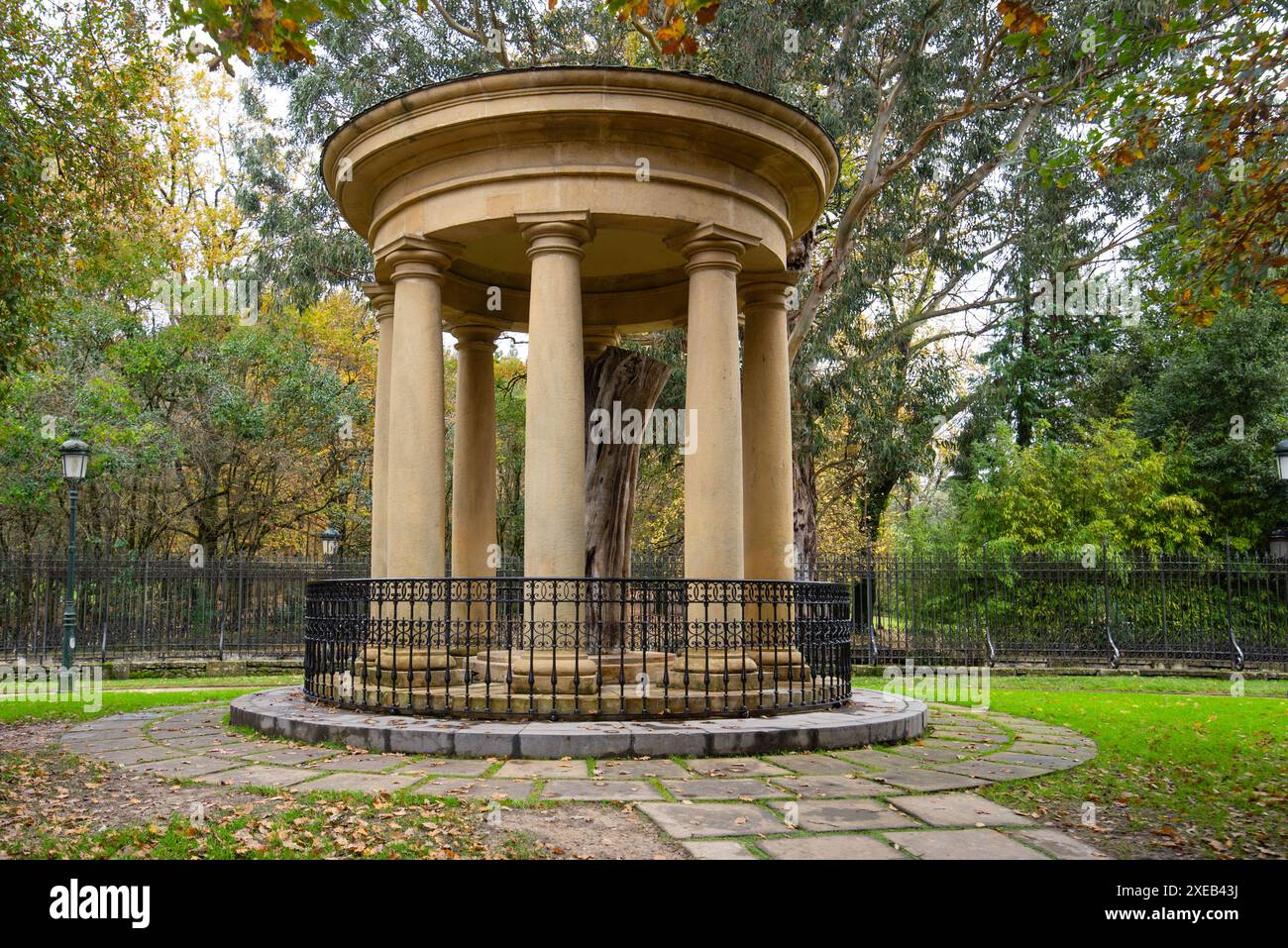 The old oak tree of Gernika that symbolizes traditional freedoms for ...