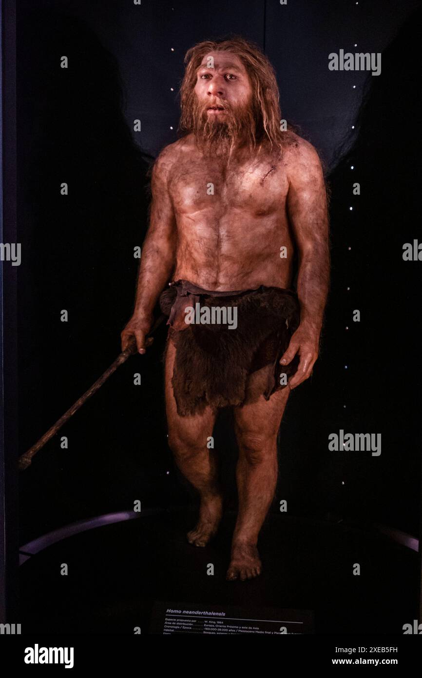 Homo sapiens hi-res stock photography and images - Alamy