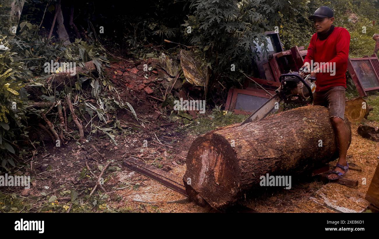 A man woodcutter is cutting a log using a chainsaw Stock Photo - Alamy
