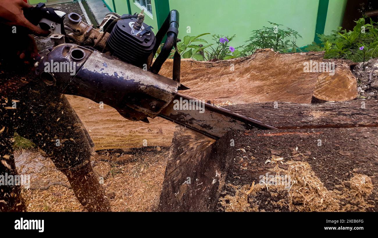 A man woodcutter is cutting a log using a chainsaw Stock Photo - Alamy