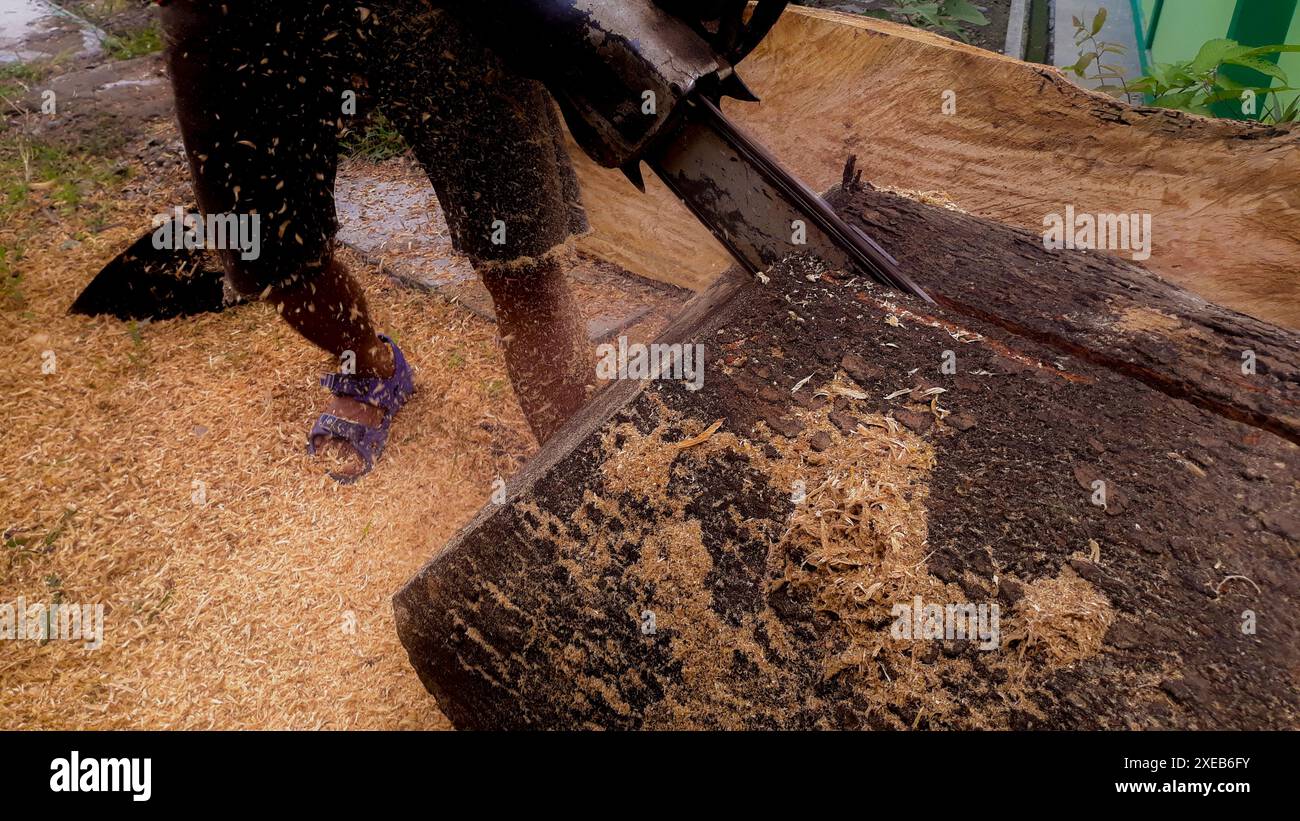 Chainsaw man cutting wood timber log hi-res stock photography and ...