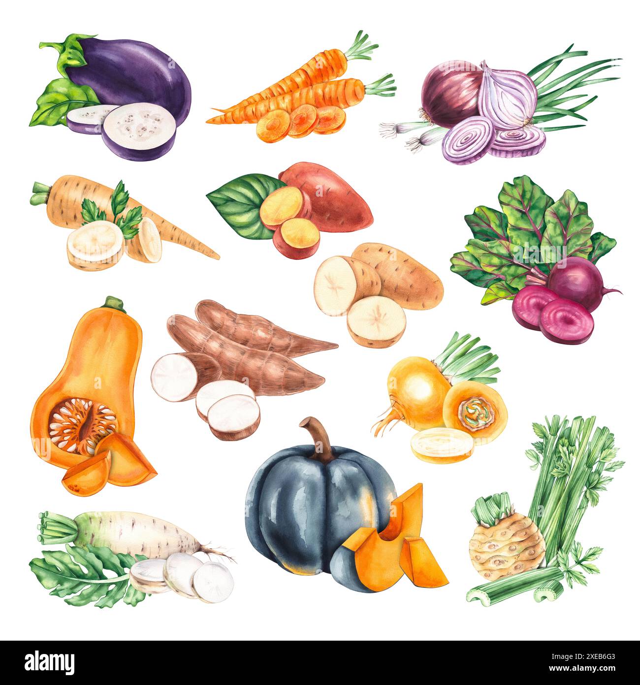 Watercolor vegetable set. Watercolor vegetables root crops and salads ...
