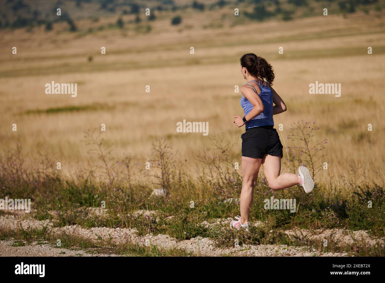 Solo Stride: Determined Athlete Woman Embarks on Fitness Journey for Marathon Preparation Stock ...