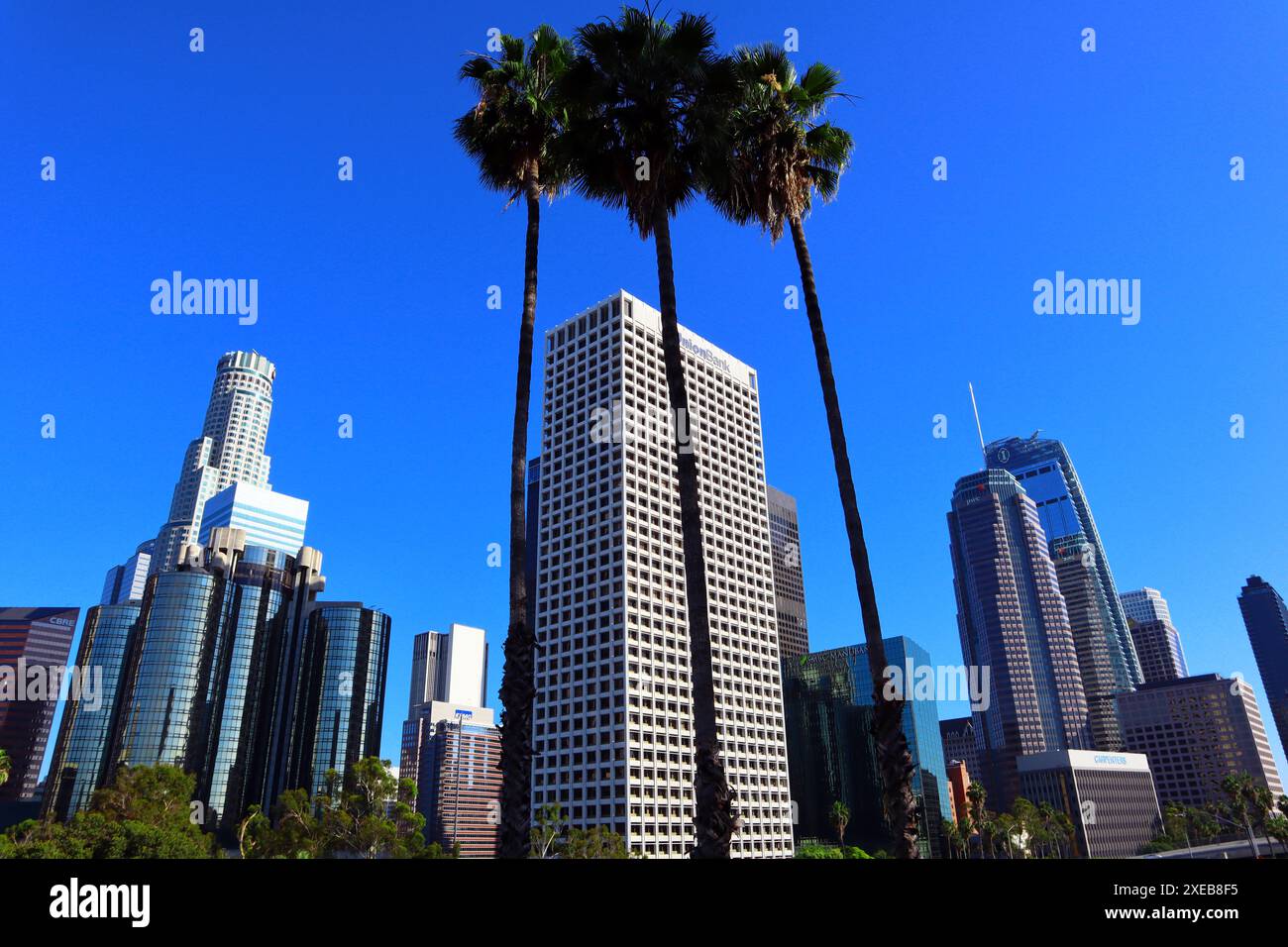 Los Angeles, California: view of downtown Los Angeles Skyscrapers Stock ...