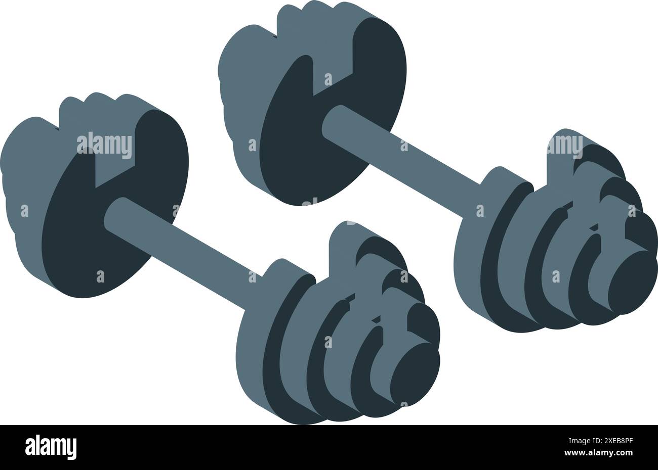 Two dumbbells lying on the floor, ready for a weightlifting workout Stock Vector Image & Art - Alamy