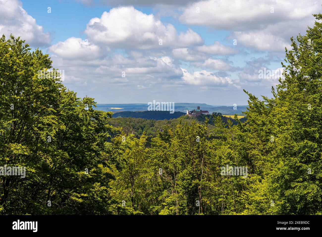 Hiking in the Dragon Gorge Thuringia Eisenach Stock Photo - Alamy