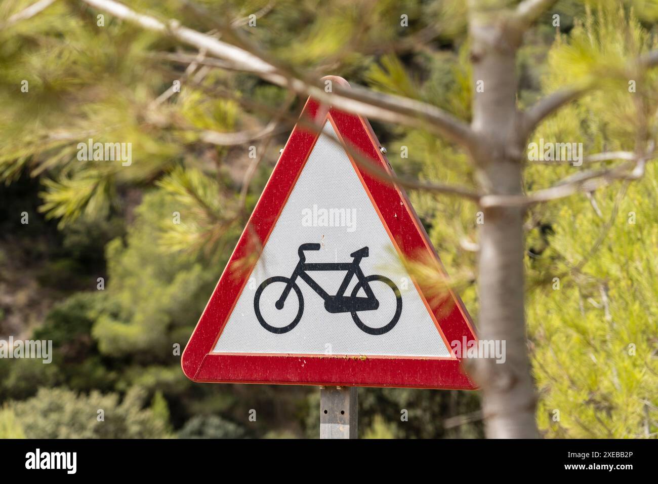 Warning traffic sign for the presence of cyclists P-22 Stock Photo - Alamy