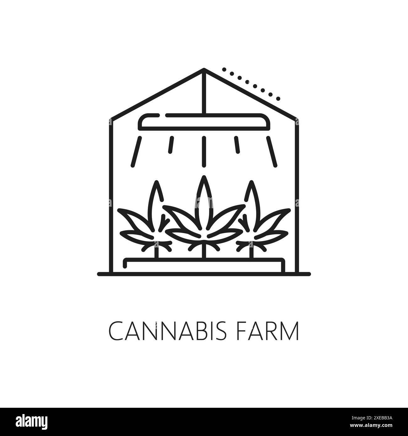 Hemp plants Black and White Stock Photos & Images - Alamy