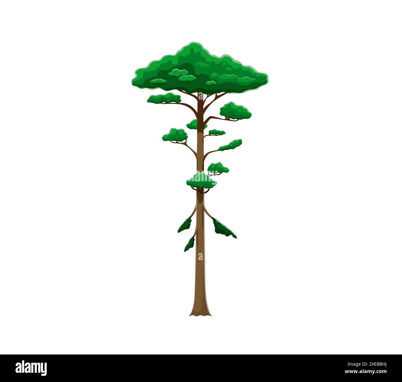 Cartoon jungle rainforest tree vivid tropical vegetation, isolated ...