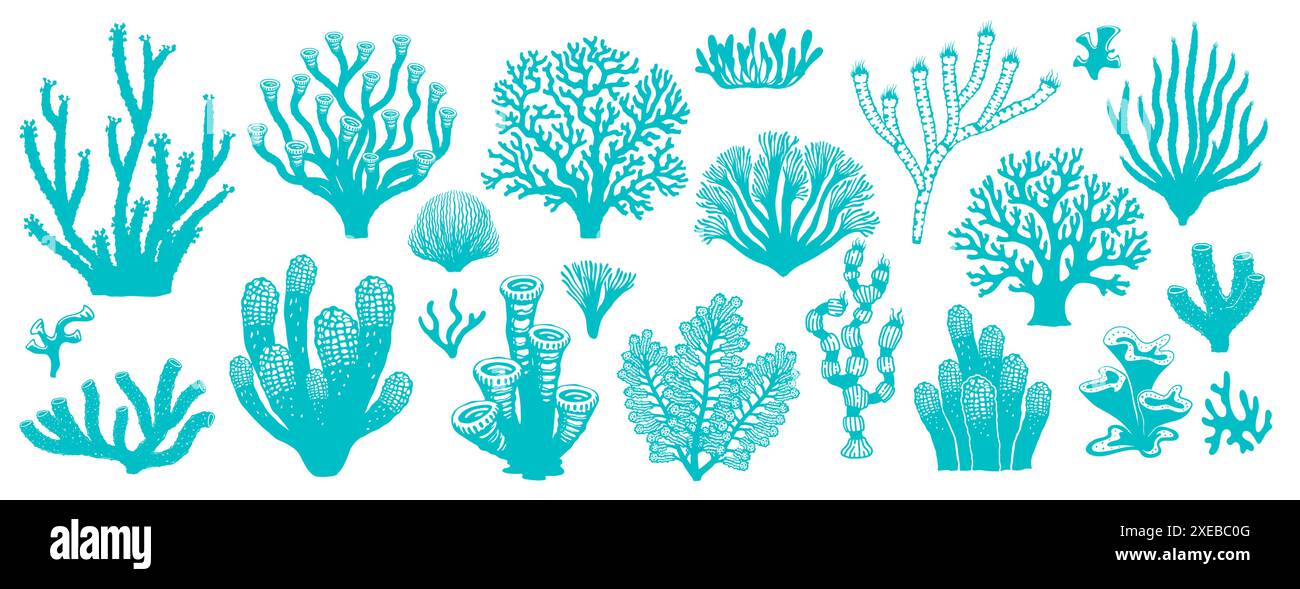 Sea Coral Reef And Seaweed Vector Underwater Plants Aquarium Ocean