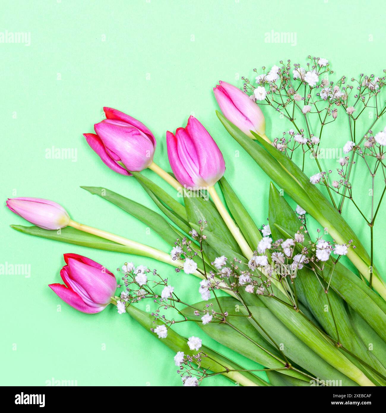 Tulips with tiny white flowers gypsophila paniculata for mother's day ...