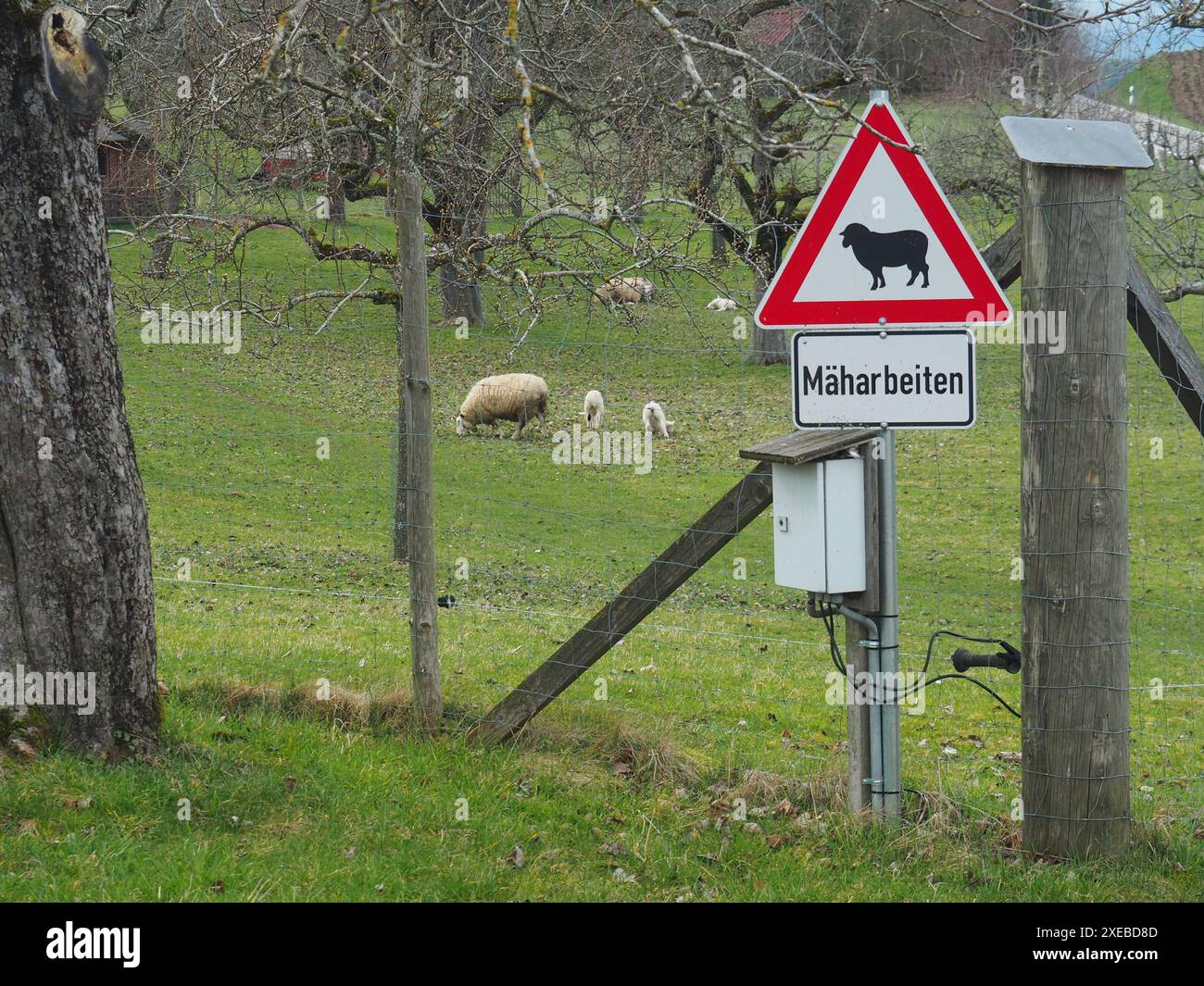 Sheep road sign hi-res stock photography and images - Alamy