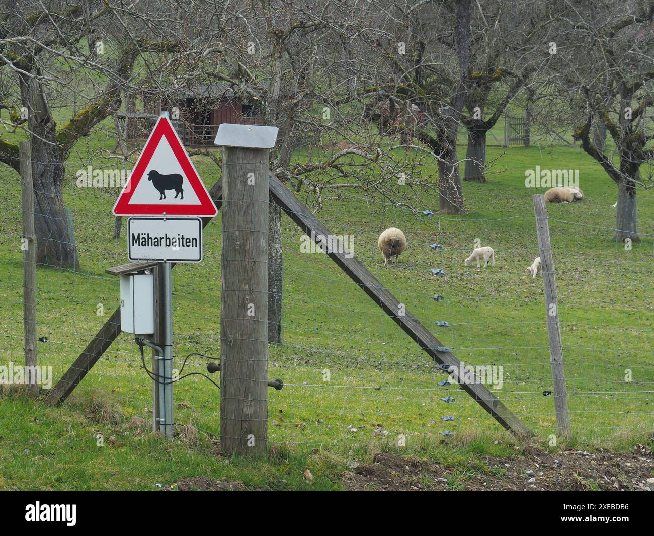 Sheep road sign hi-res stock photography and images - Alamy