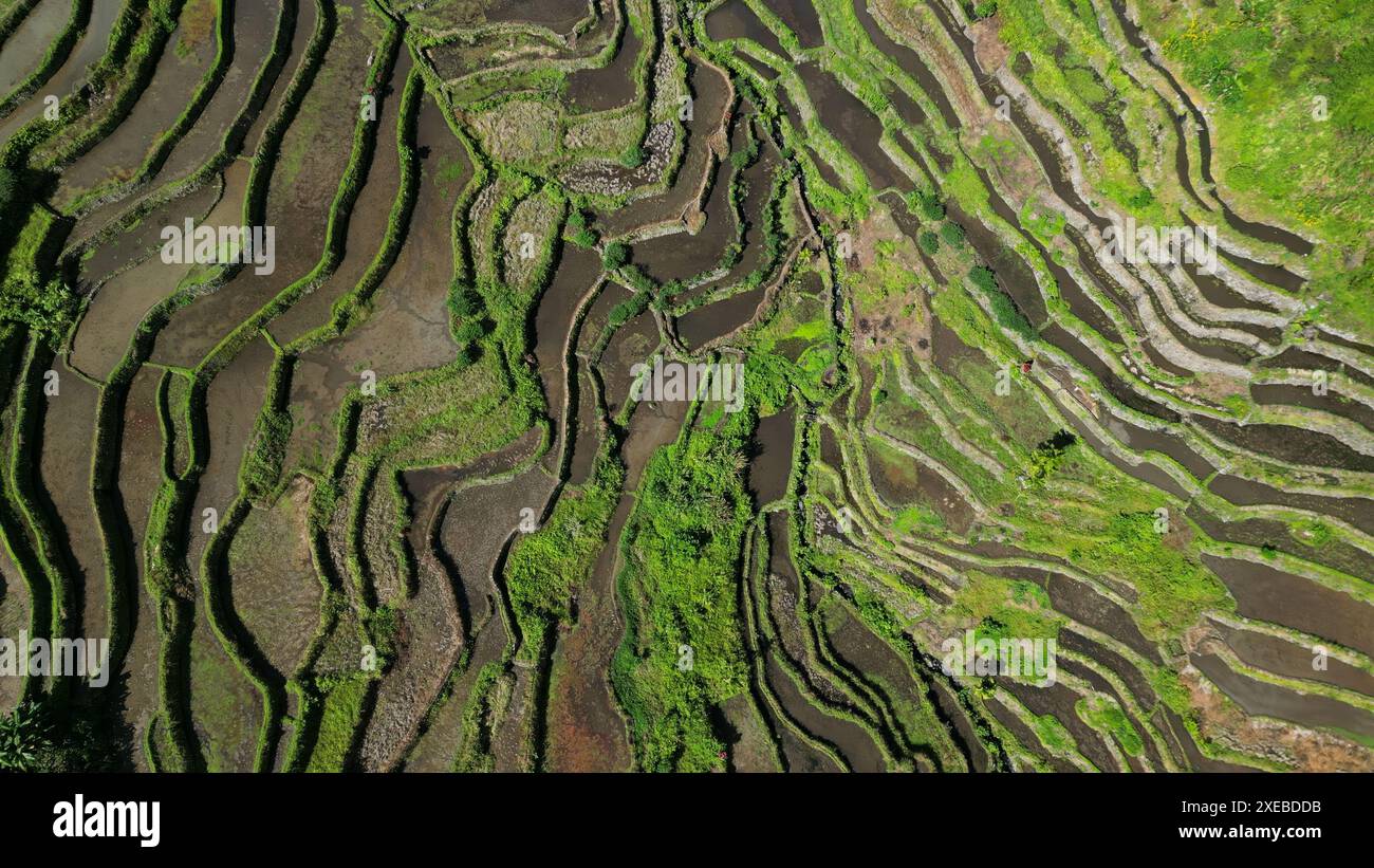 Flying over rice terraces in hi-res stock photography and images - Alamy