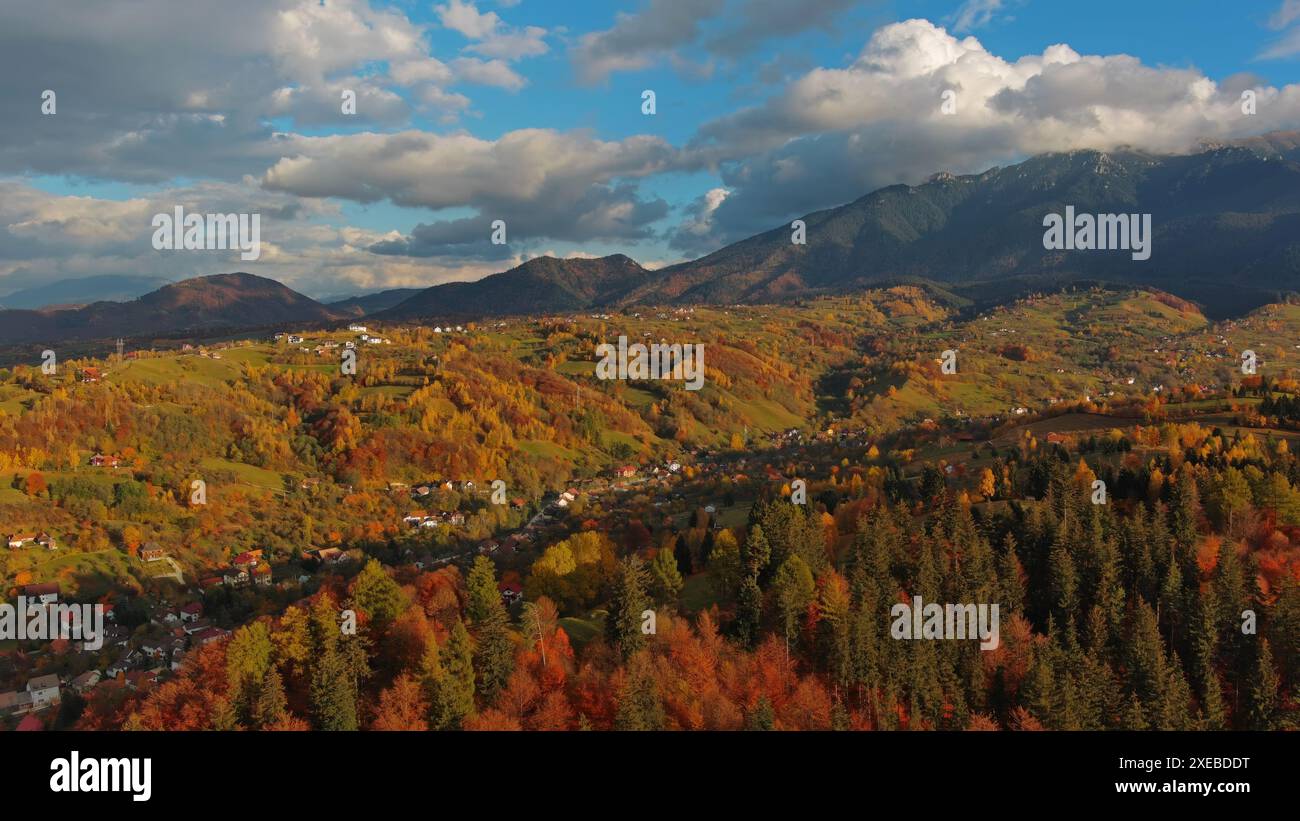 Aerial fly over autumn forest hi-res stock photography and images - Alamy