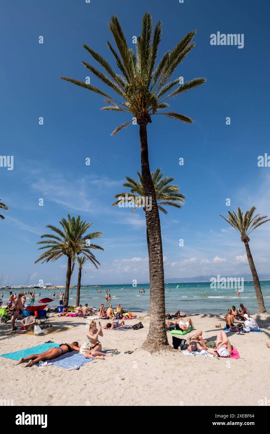 El Arenal beach Stock Photo - Alamy