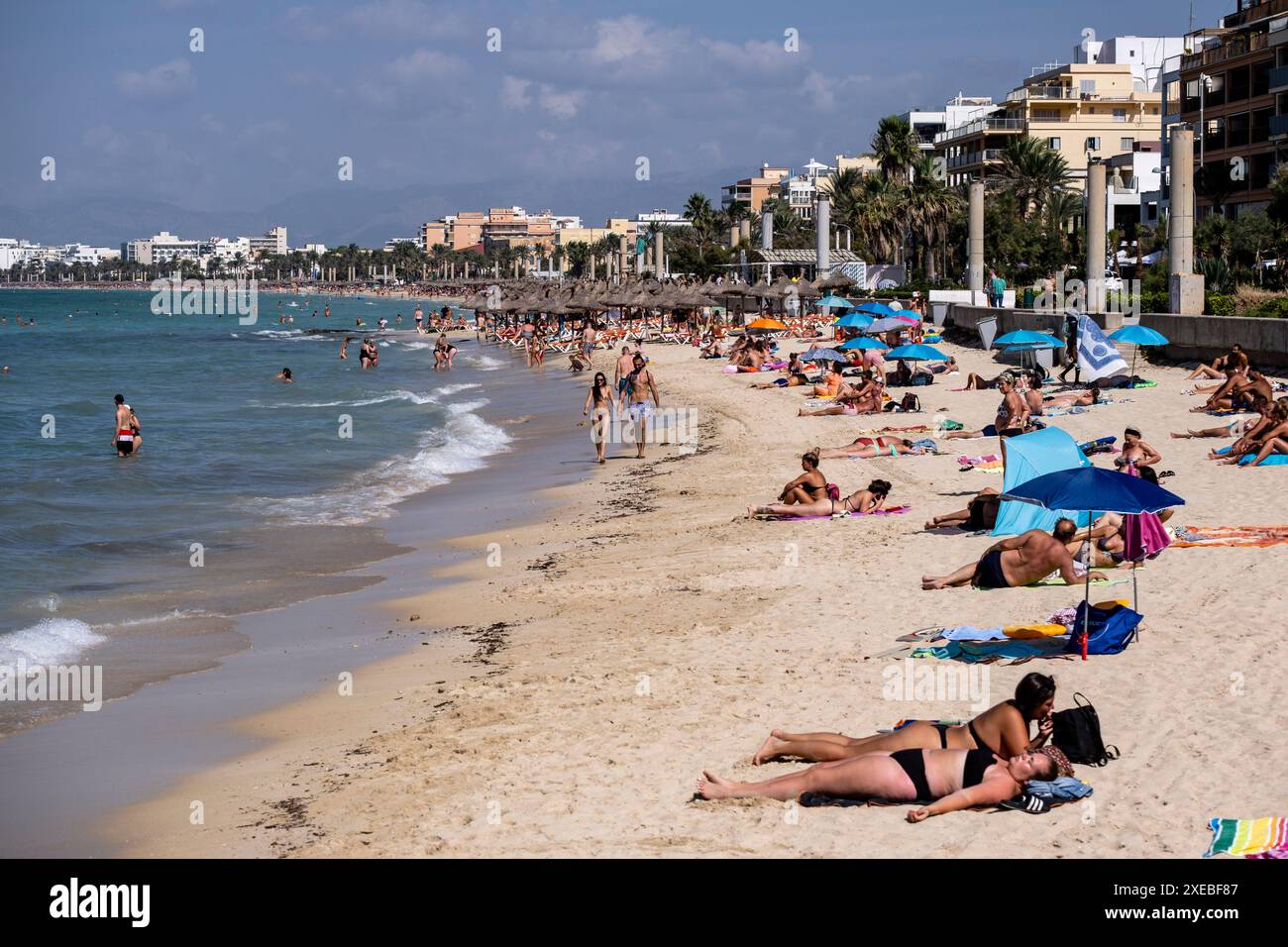 El Arenal beach Stock Photo - Alamy