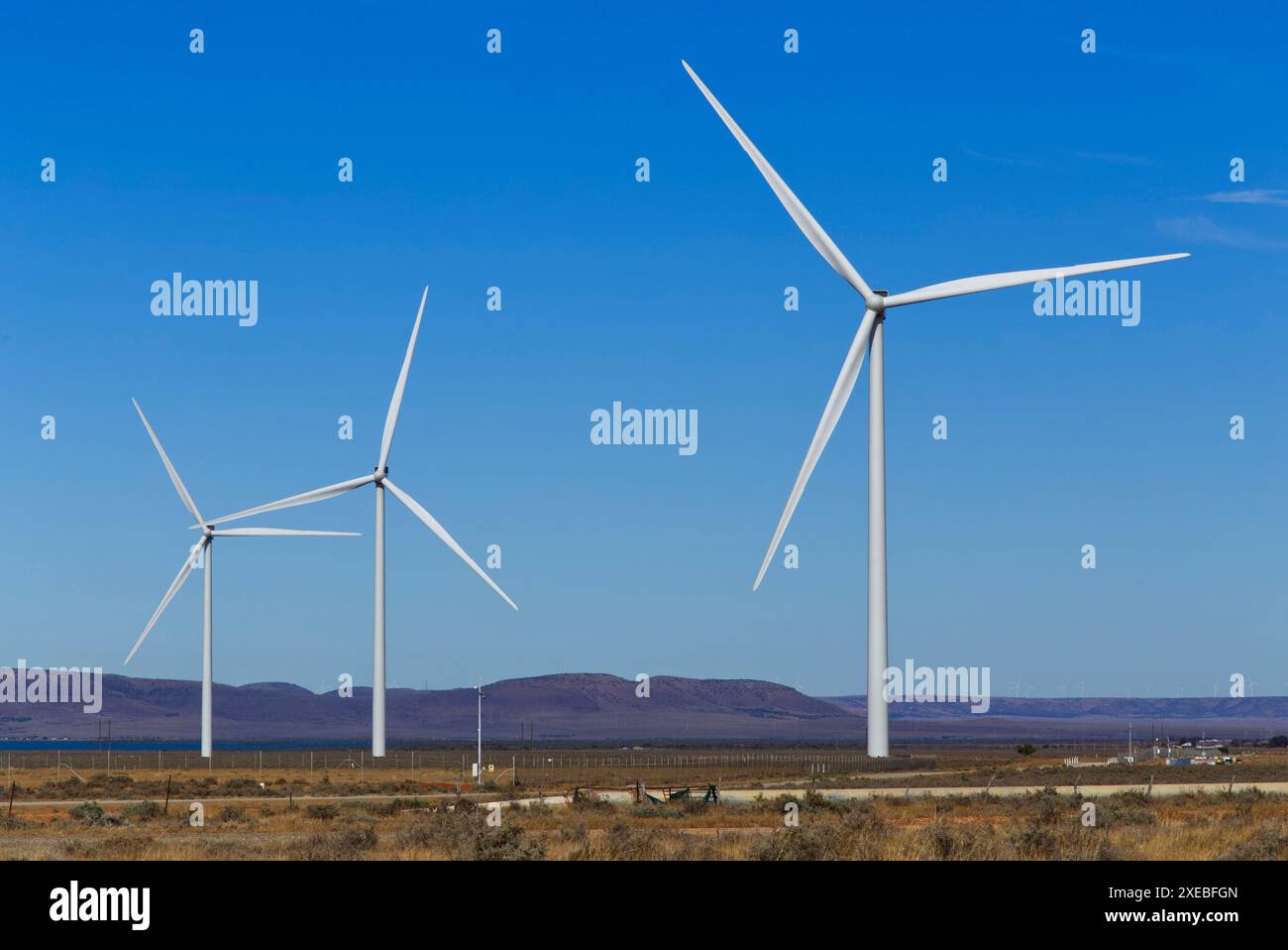 Port Augusta Renewable Energy Park (PAREP) in South Australia. The park ...