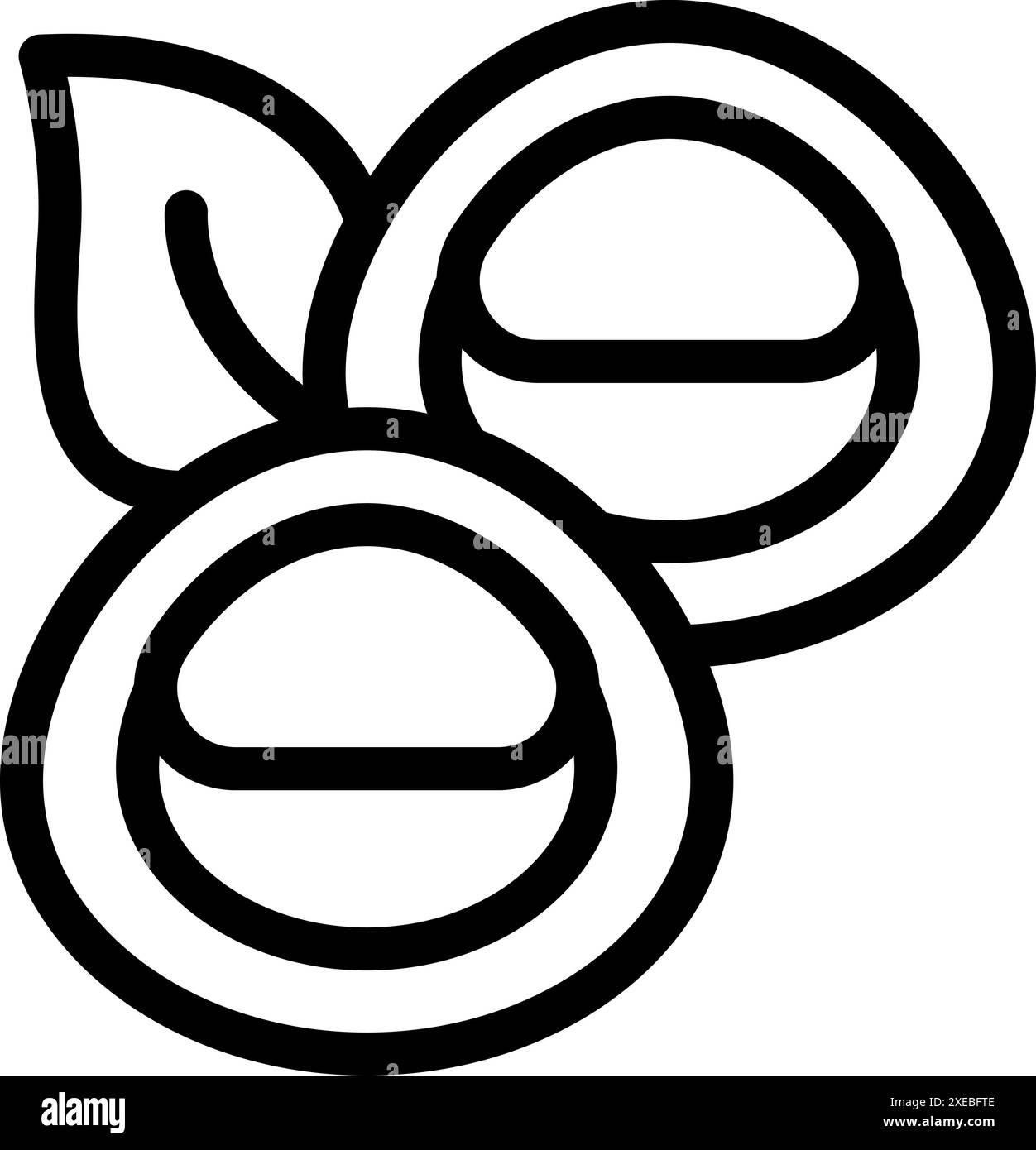 Minimalist icon of macadamia nuts with leaf representing healthy food ...