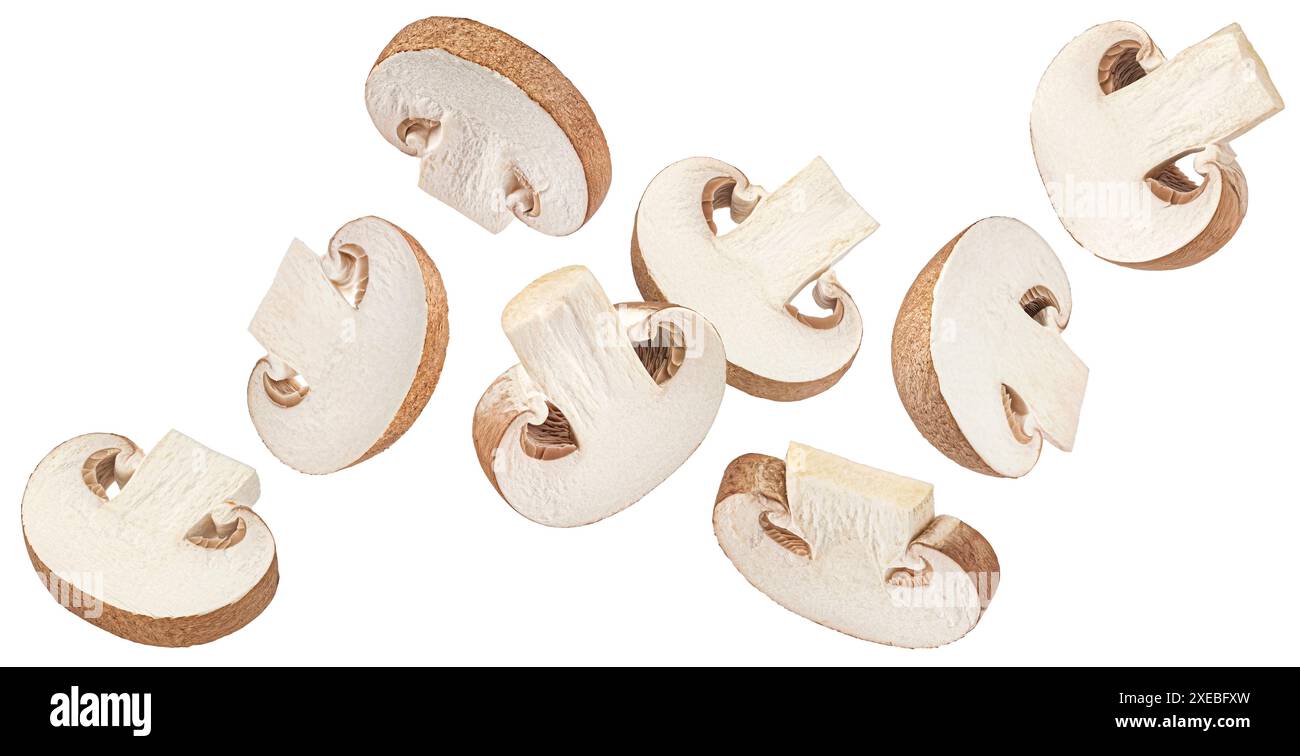 Brown champignon mushroom slices isolated on white background, full ...
