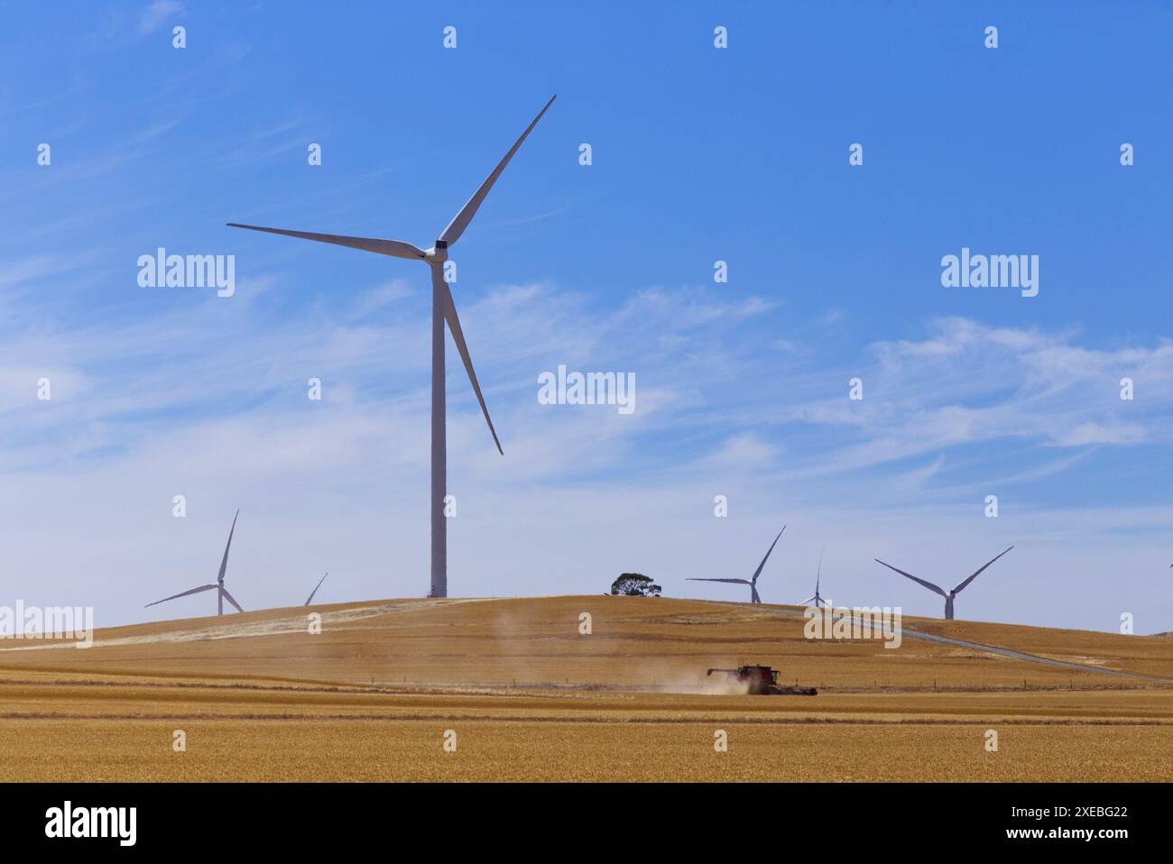 Combine Harvester working in front of wind turbines at the Hornsdale ...