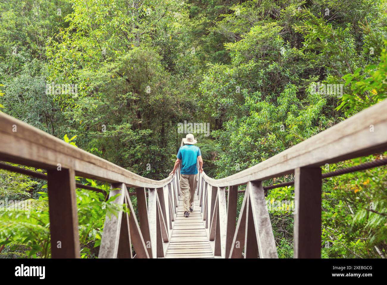 Bridge in hike Stock Photo - Alamy
