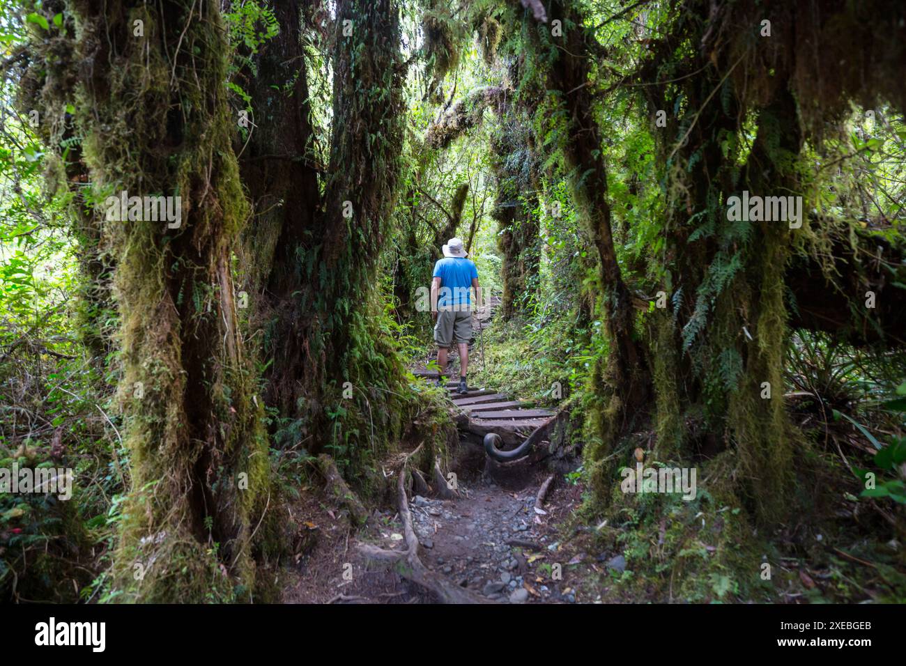 Hike in rain hi-res stock photography and images - Alamy