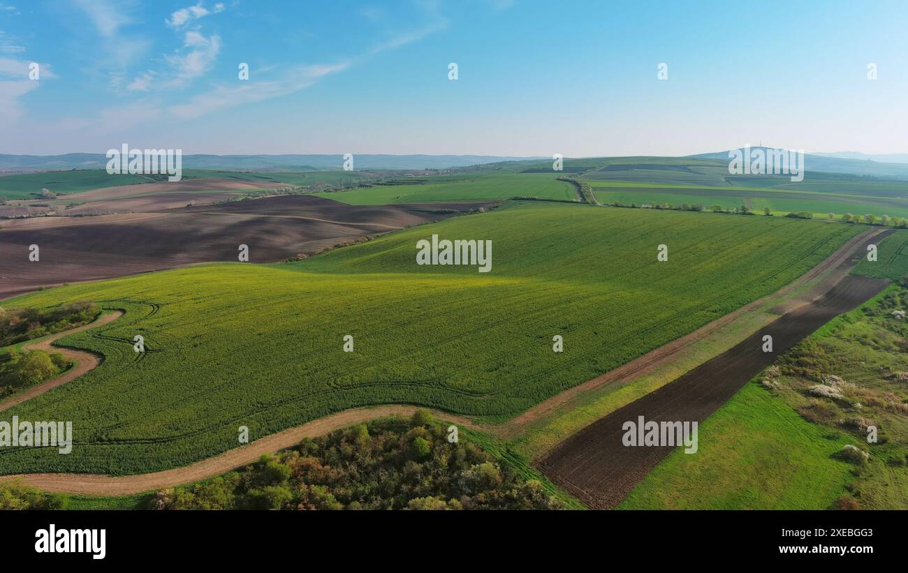 Green wavy hills with agricultural fields Stock Photo - Alamy