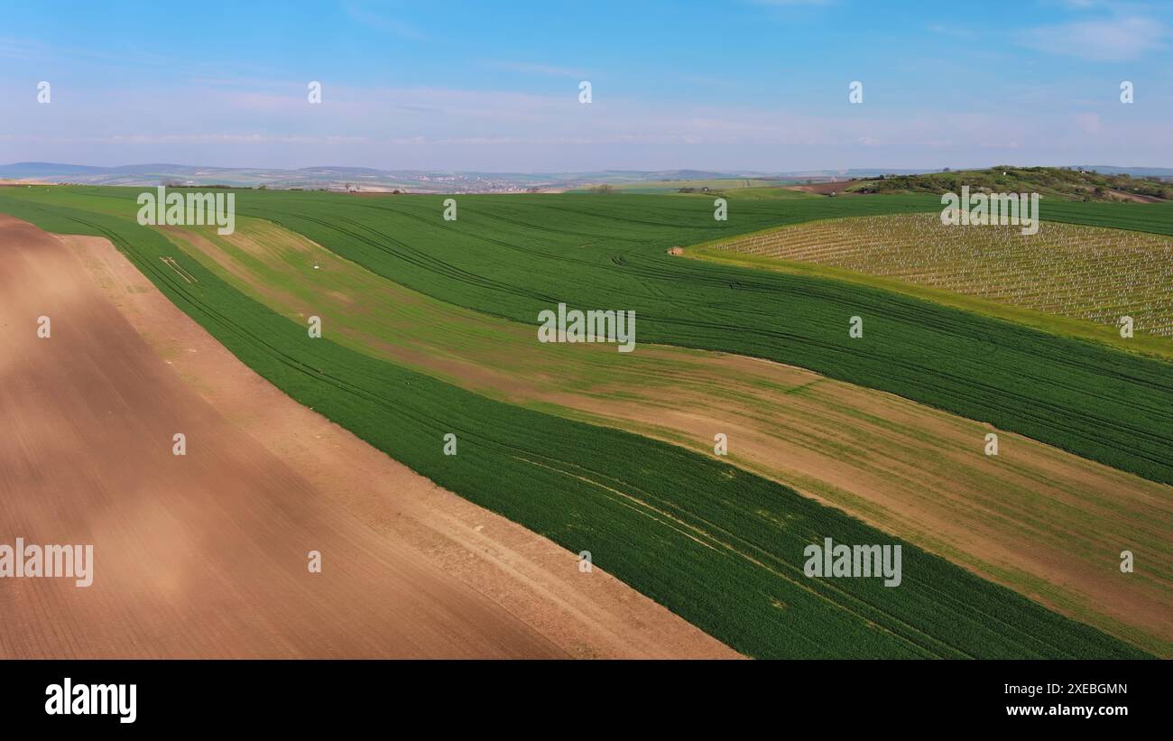 Green wavy hills with agricultural fields Stock Photo - Alamy