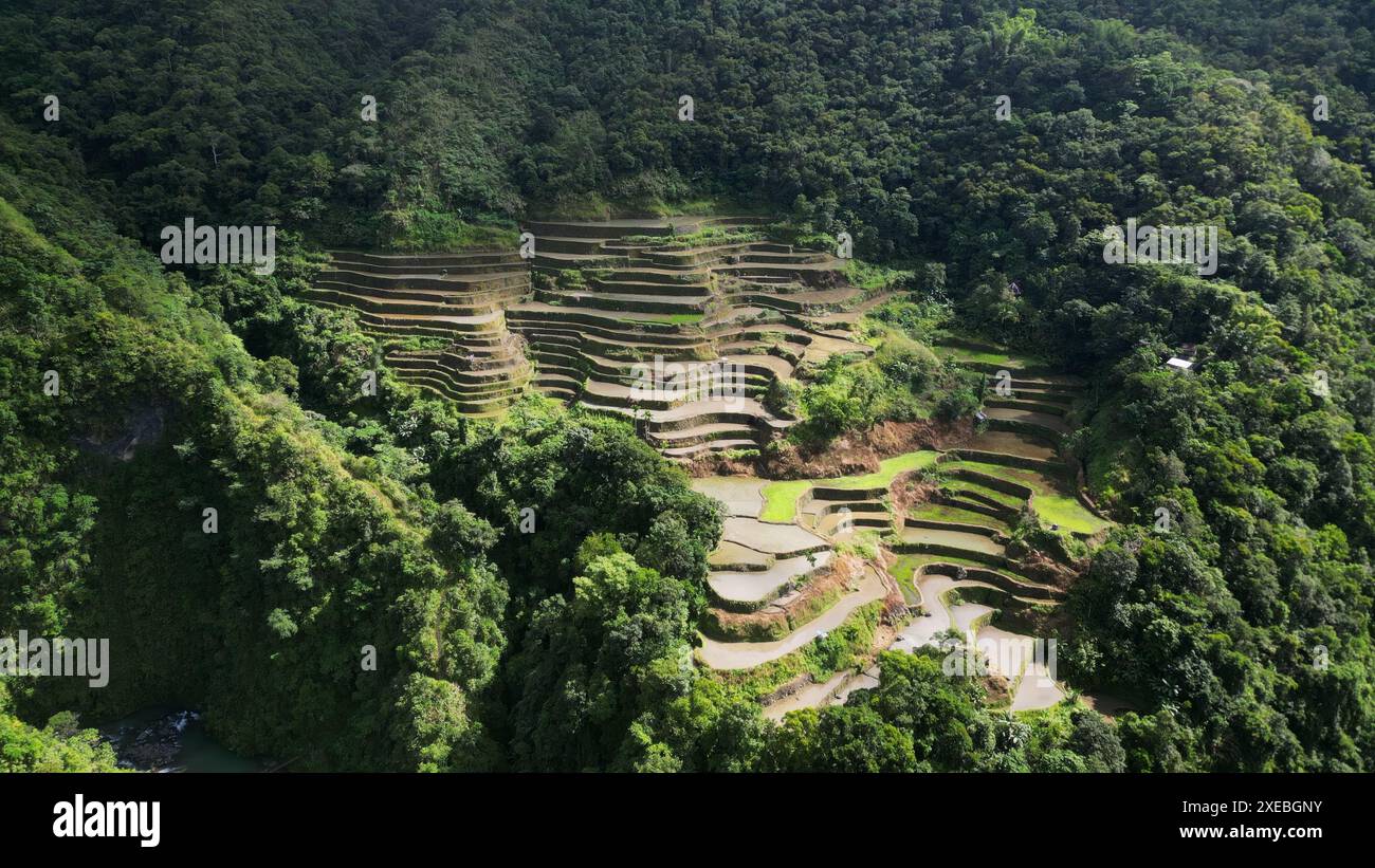 Batad Rice Terraces in Philippines Stock Photo - Alamy
