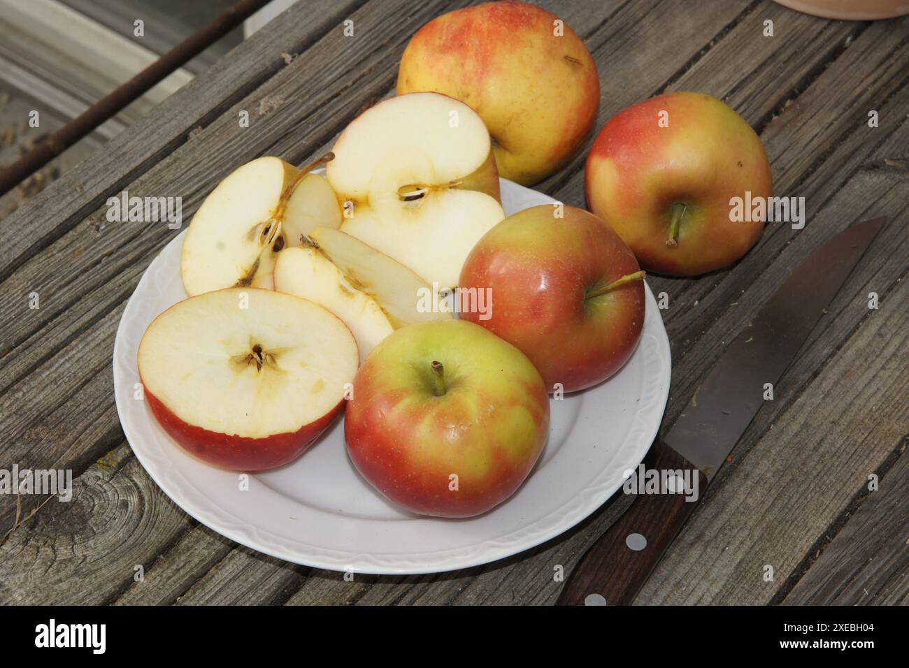 Apple seed germination hi-res stock photography and images - Alamy