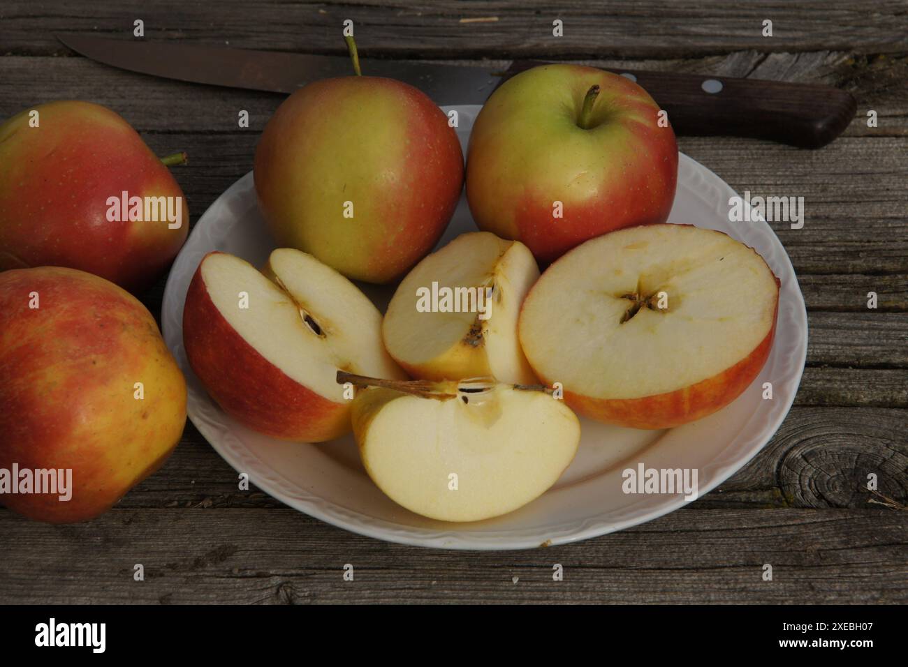 Apple seeds germination hi-res stock photography and images - Alamy