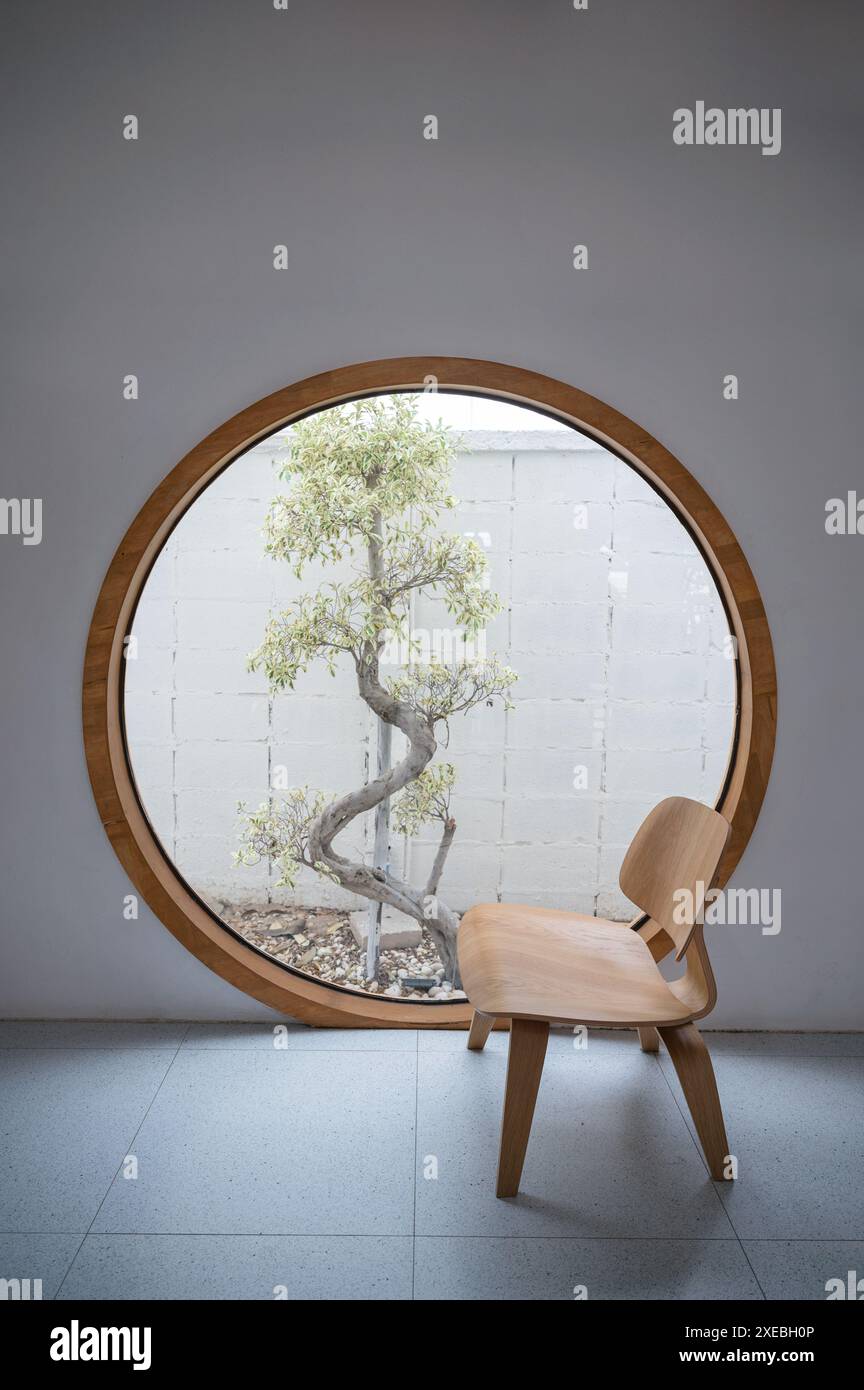 Minimalism interior of wooden chair with round window and tree at patio ...