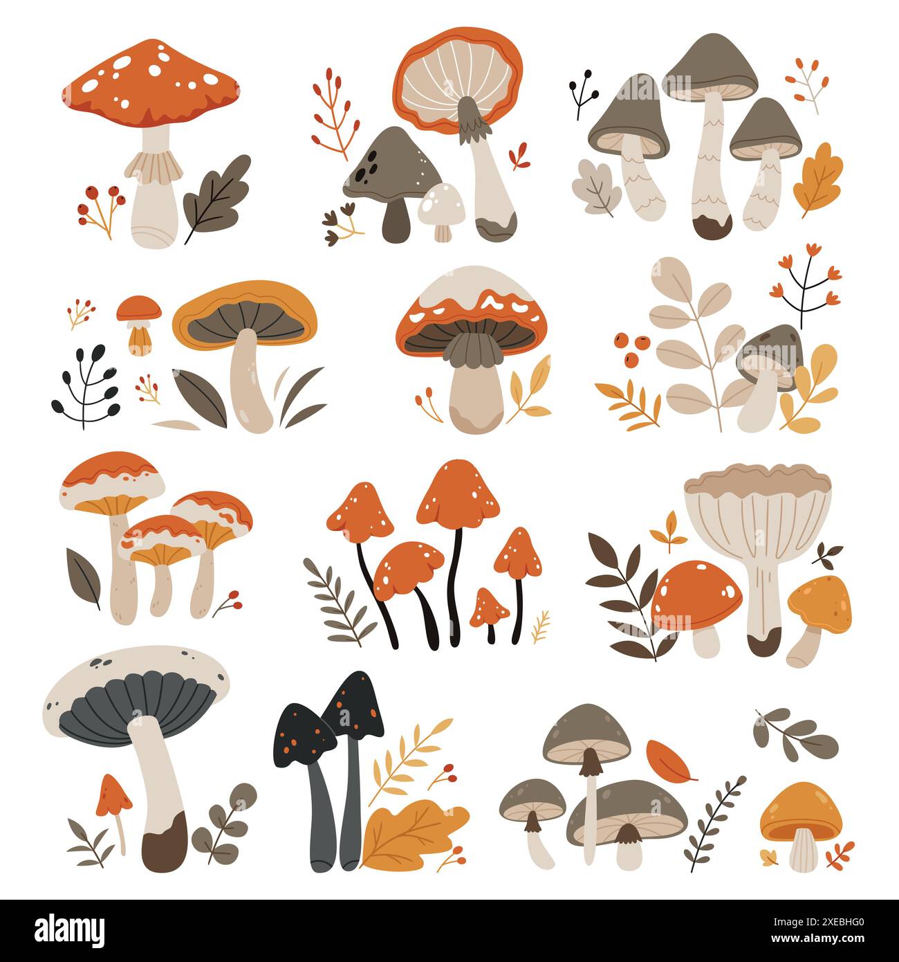 A set of autumn mushrooms.Forest wild mushrooms types.Poisonous and ...