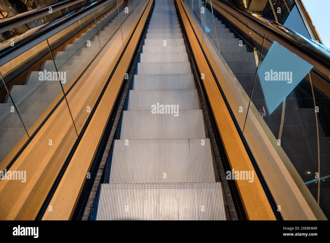 Modern way down automatic escalator with handrail and grass in ...
