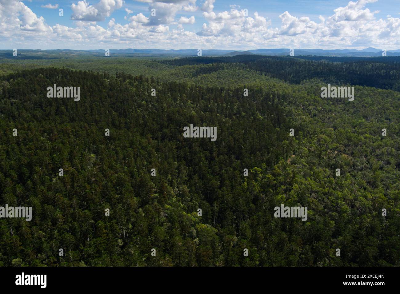 Aerial view of the Goodnight Scrub National Park in Gin Gin, Queensland ...
