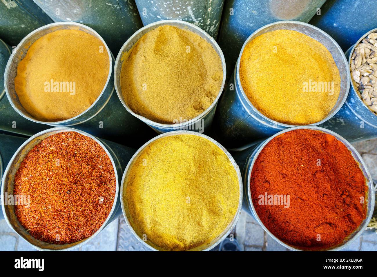 Moroccan species hi-res stock photography and images - Alamy