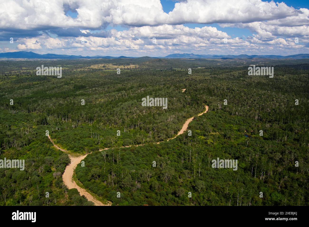 Aerial view of a road passing through the Goodnight Scrub National Park ...