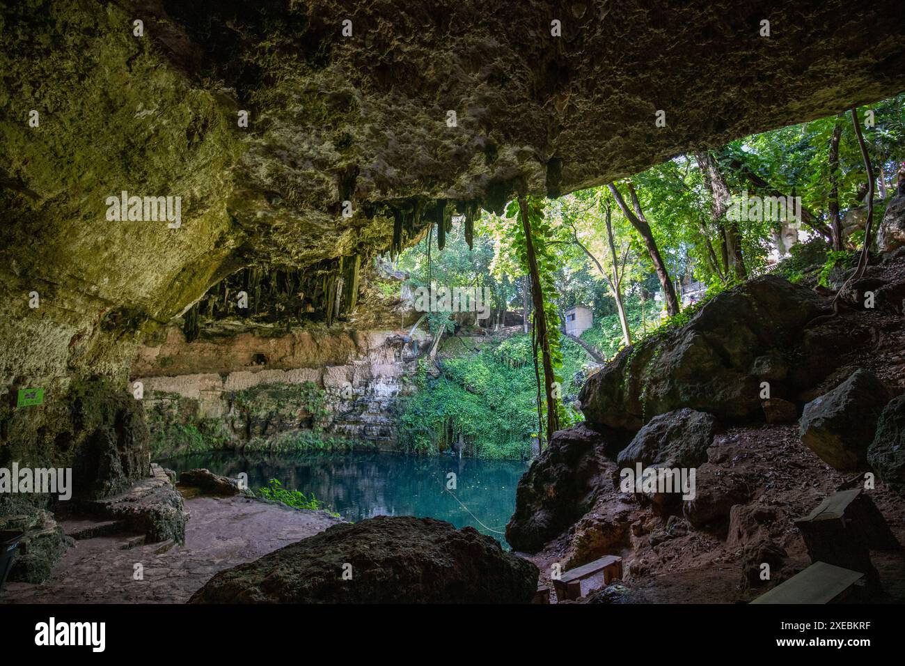 Cenote Zaci, Open-air cenote, popular for swimming and snorkeling, in ...