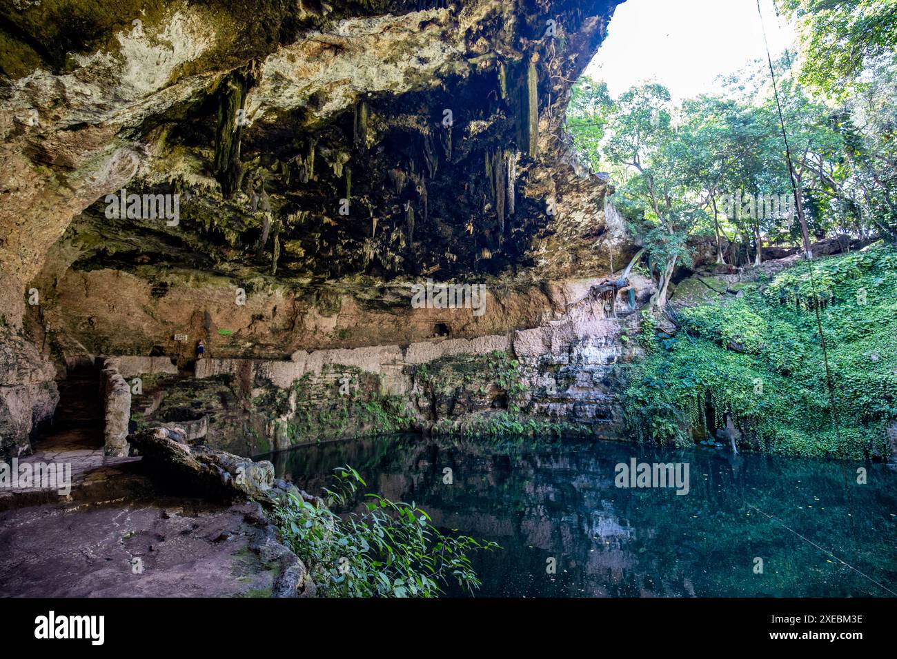Cenote Zaci, Open-air cenote, popular for swimming and snorkeling, in ...